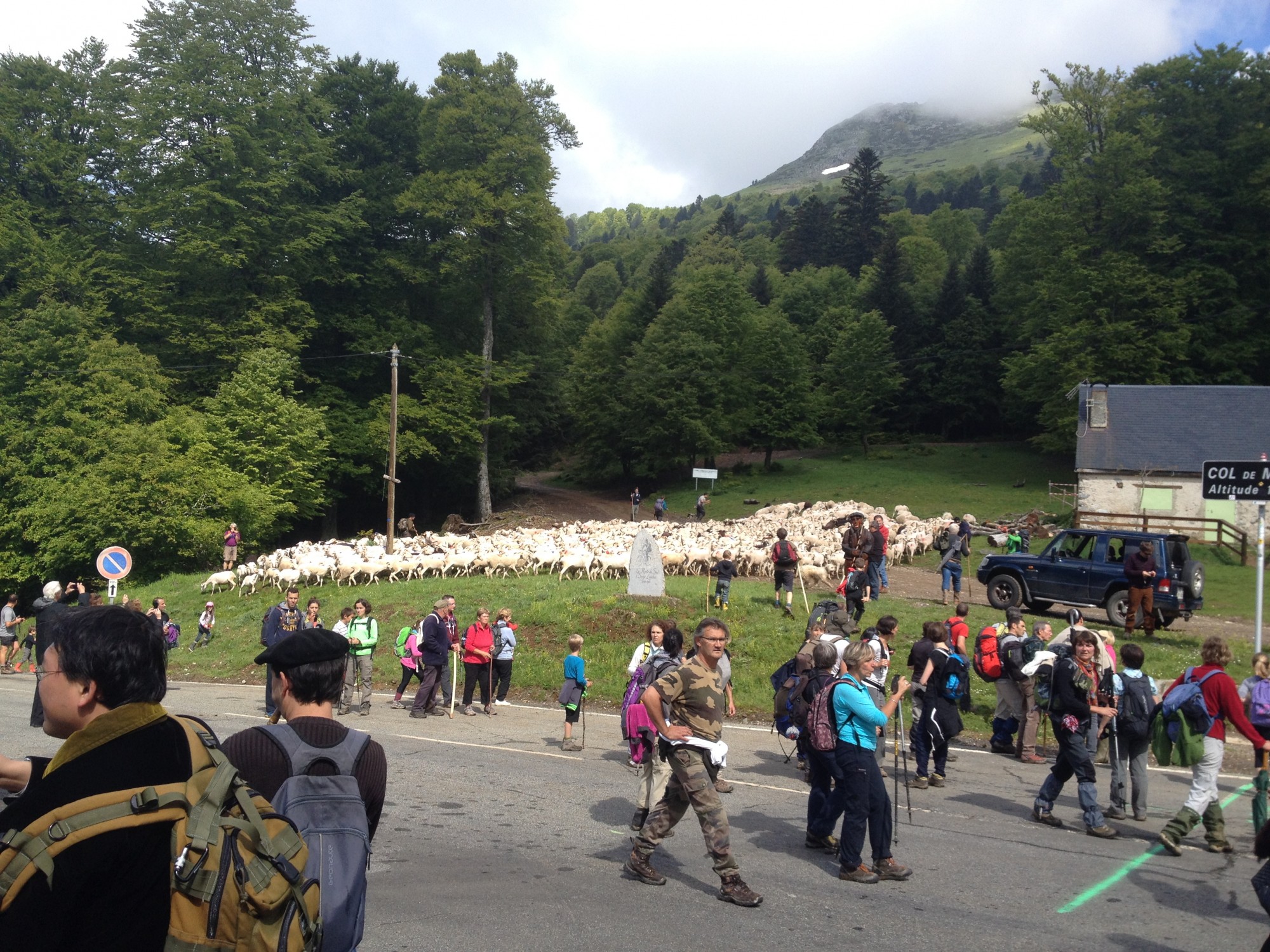 Transhumance Pyrénées - Samedi 1 juin 2024